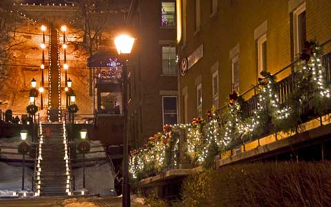 Night of Luminaria